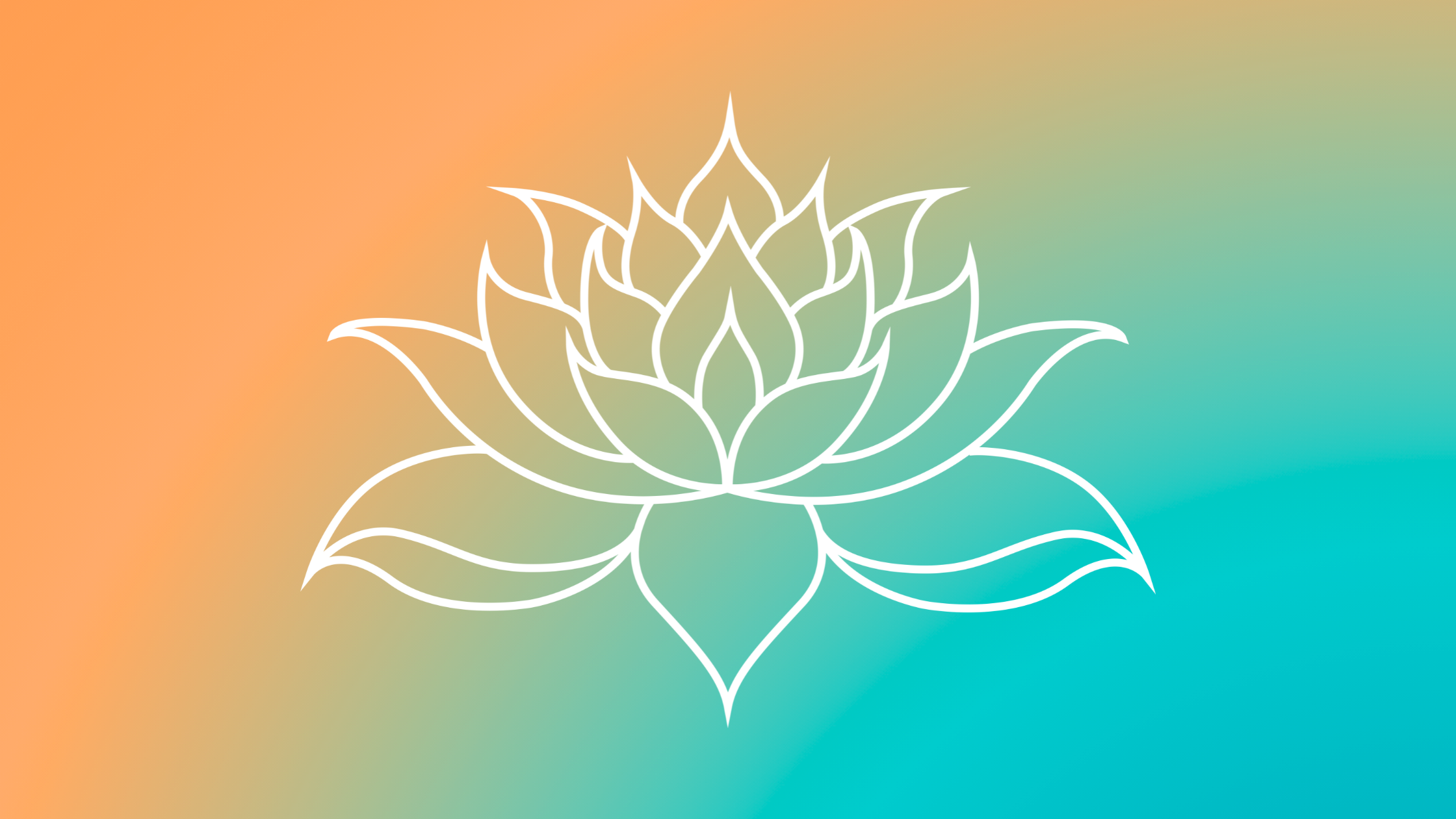 Bonnie Tisdale – The Vibe Collective